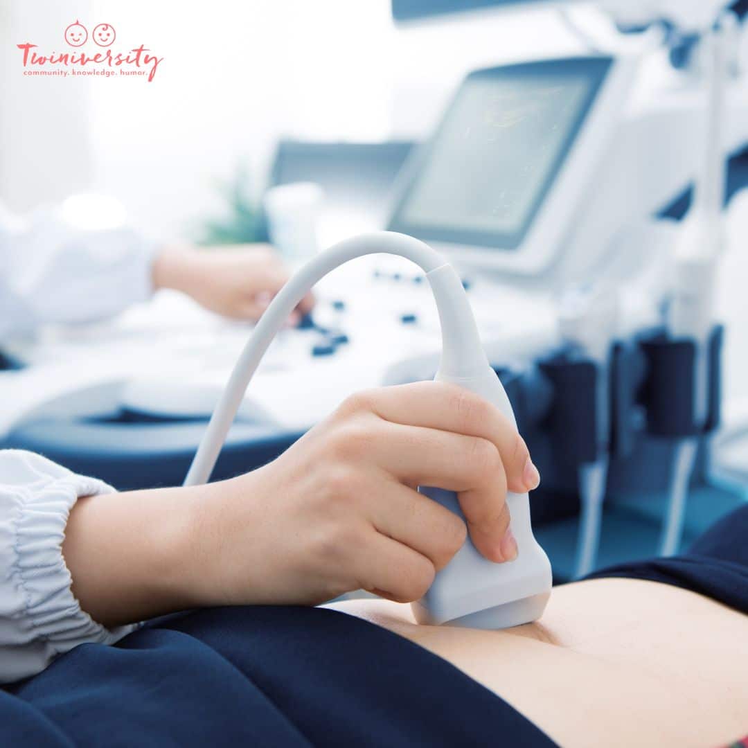 The hCG Levels That Could Mean You're Having Twins | Twiniversity #1 ...